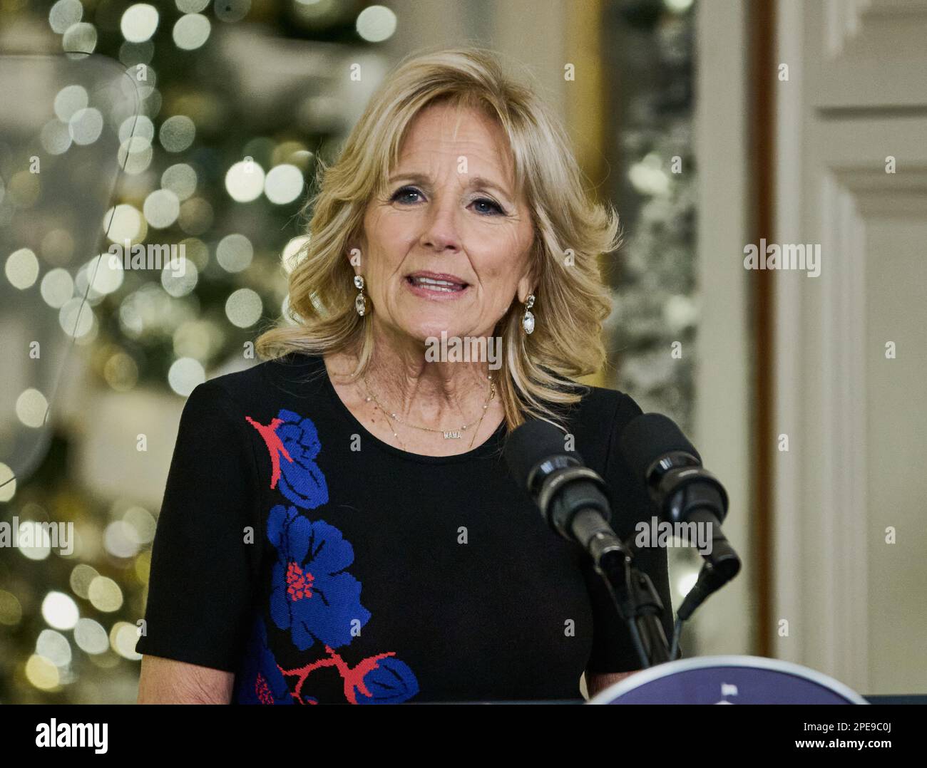 WASHINGTON, D.C., USA - NOVEMBER 28, 2022: First Lady Jill Biden ...