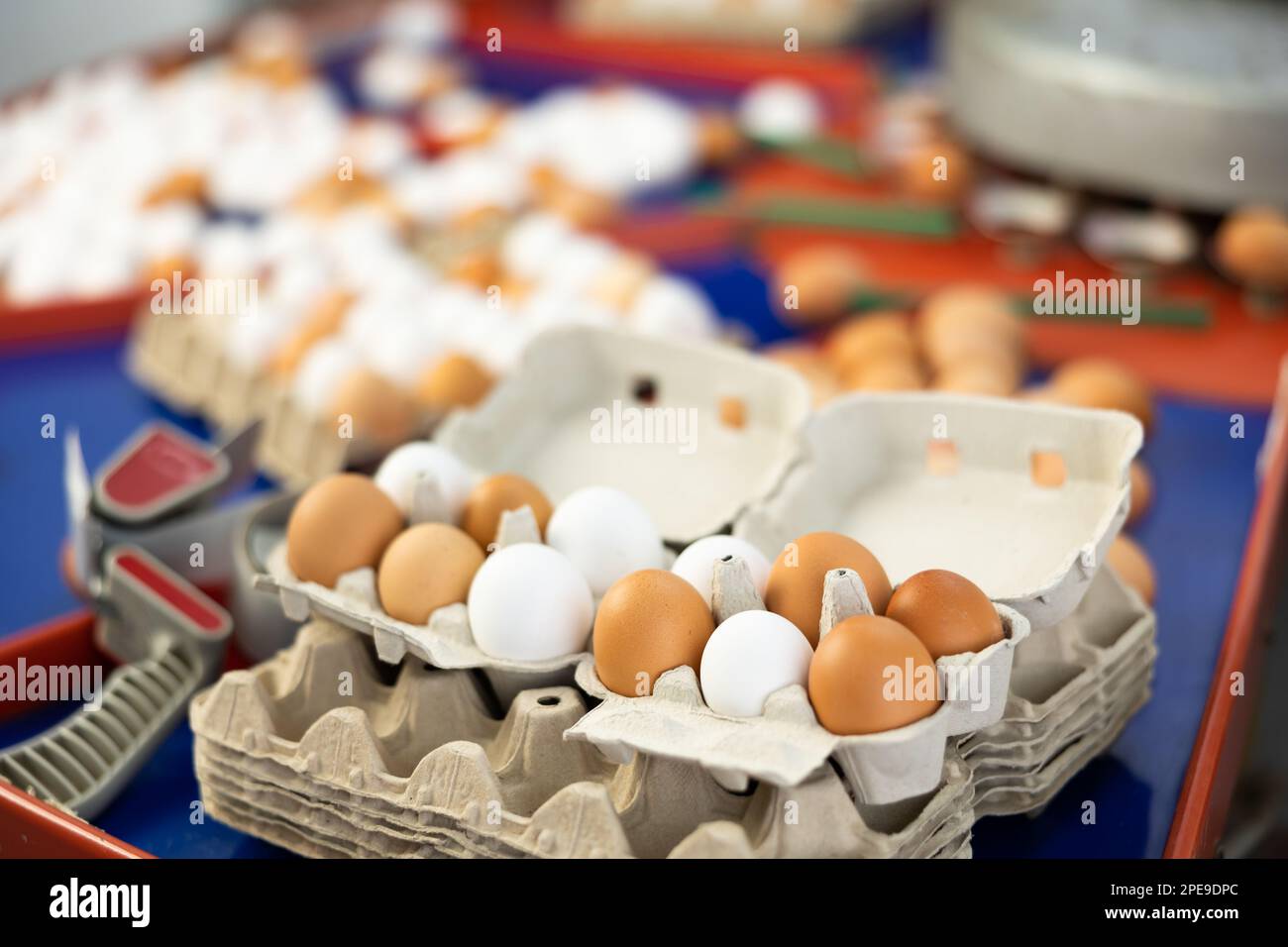 Fresh eggs in cardboard tray on poultry farm conveyor Stock Photo - Alamy