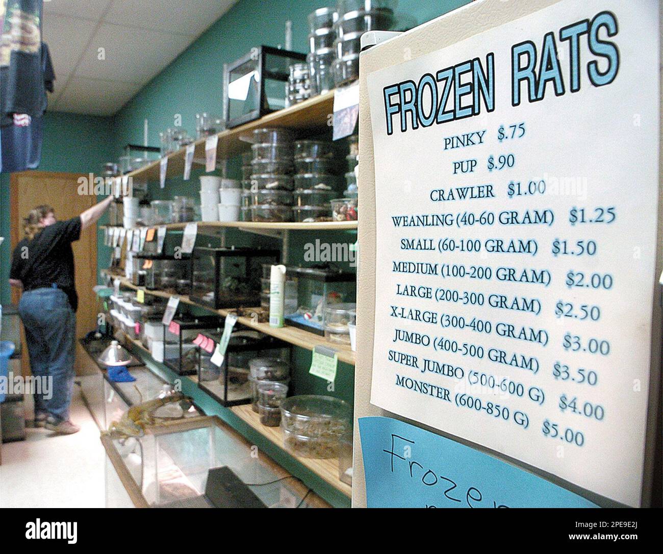 ** ADVANCE FOR TUESDAY, APRIL 5 ** An assortment of frozen rats are ...