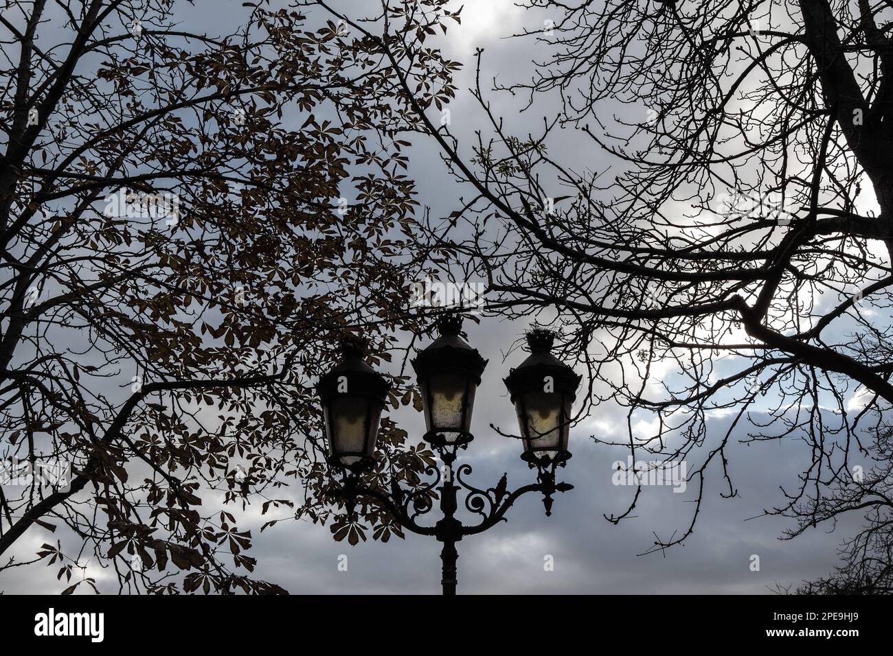 Strange lamps hi-res stock photography and images - Alamy