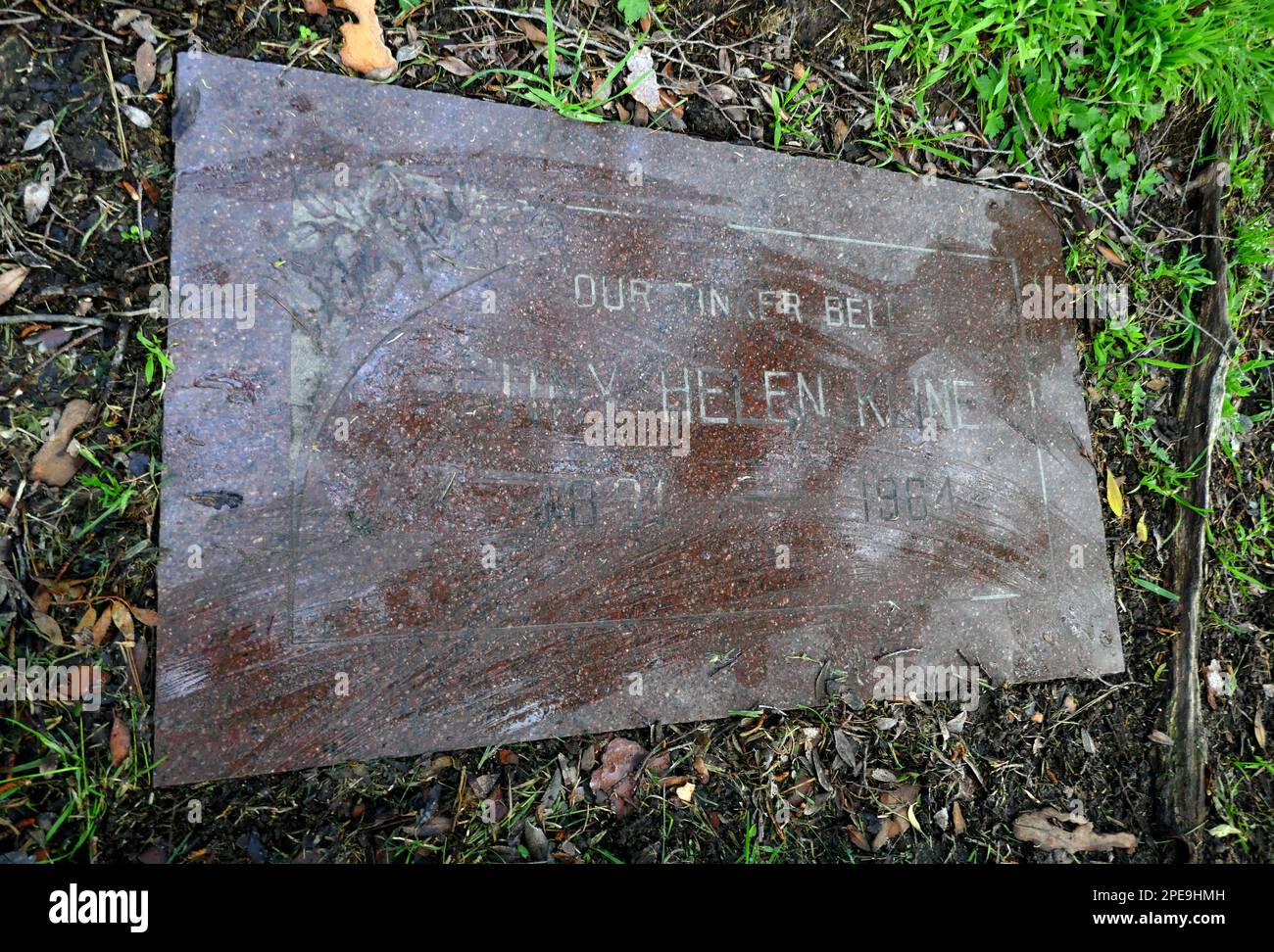 First tinker bell disneyland hi-res stock photography and images - Alamy