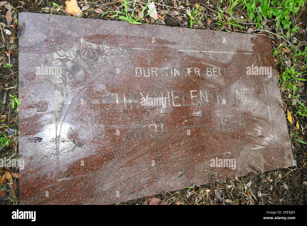 First tinker bell disneyland hi-res stock photography and images - Alamy