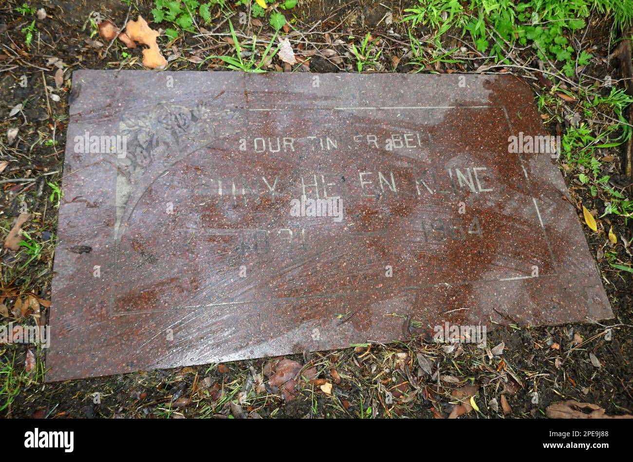 First tinker bell disneyland hi-res stock photography and images - Alamy