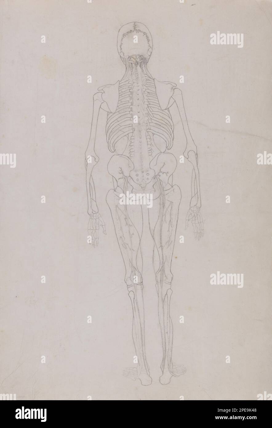 A Comparative Anatomical Exposition of the Structure of the Human Body ...