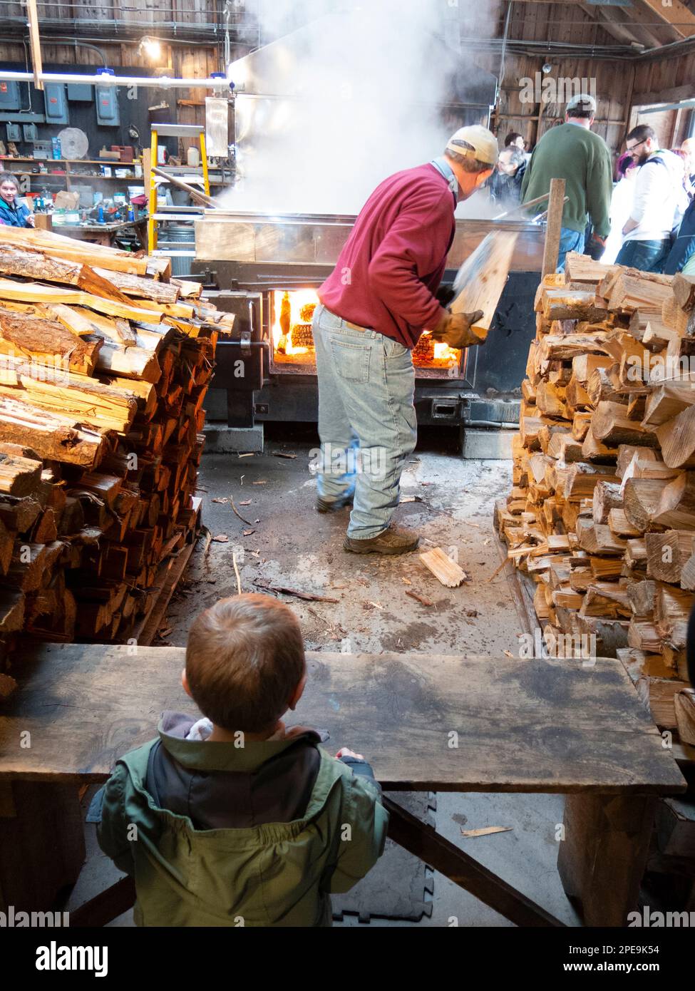 Boiling down maple tree sap to make maple syrup at Goulds Sugar House ...