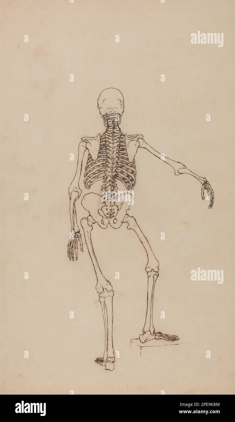 A Comparative Anatomical Exposition of the Structure of the Human Body ...