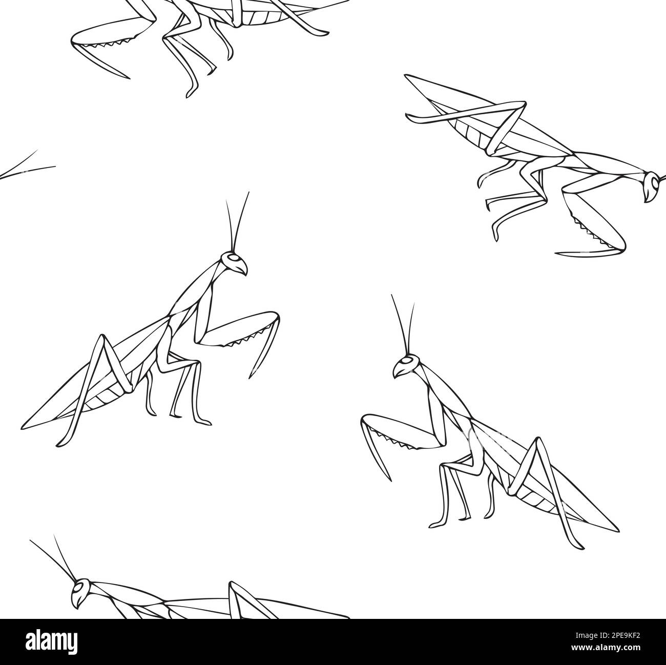 Vector seamless pattern of hand drawn mantis Stock Vector Image & Art ...