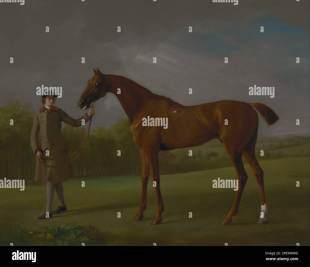 Lustre, held by a Groom circa 1762 by George Stubbs Stock Photo - Alamy