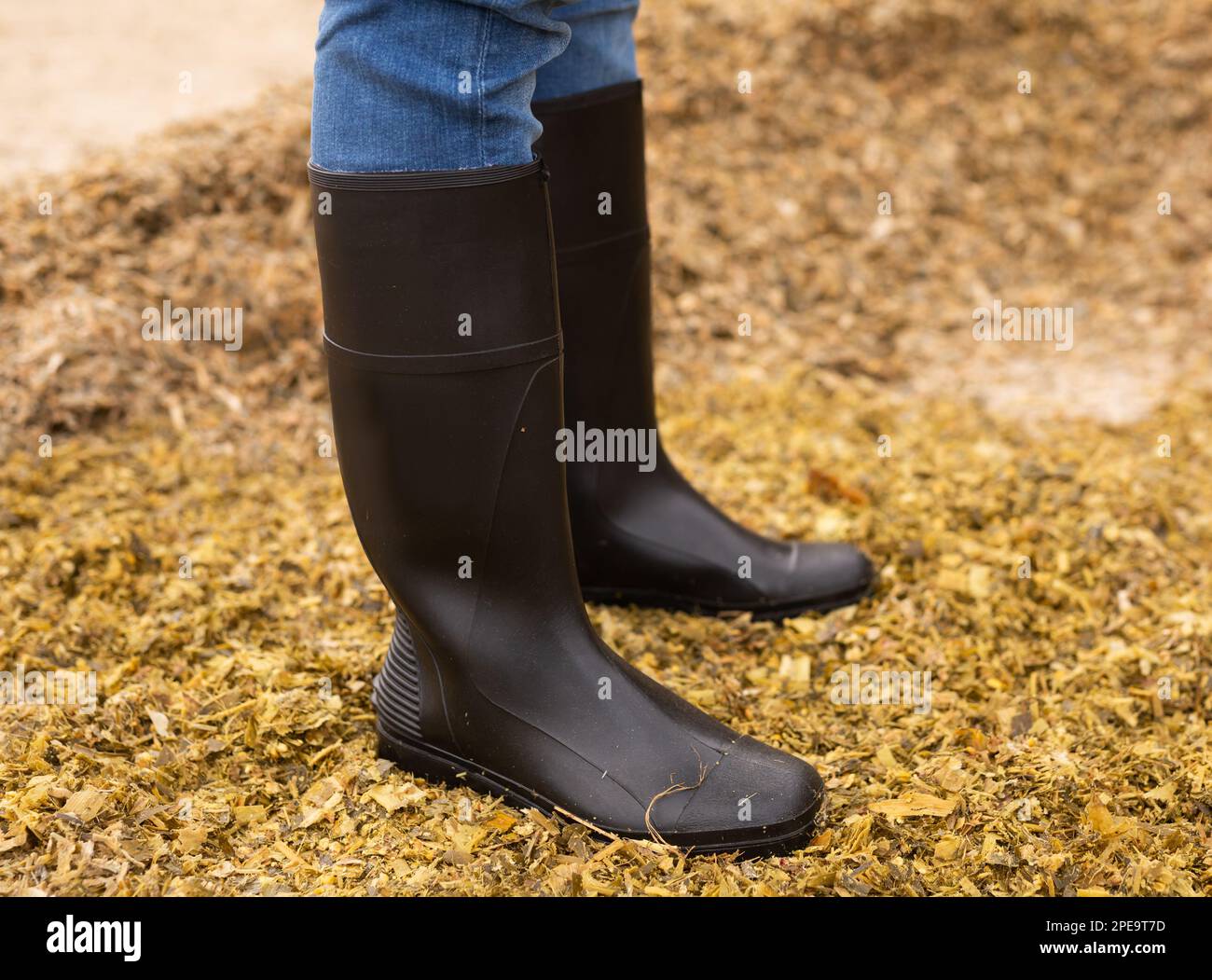 Farmer feet hi-res stock photography and images - Alamy