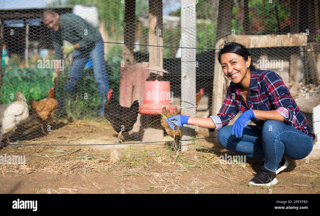 Woman feeds hens in chicken coop in backyard of country house Stock ...