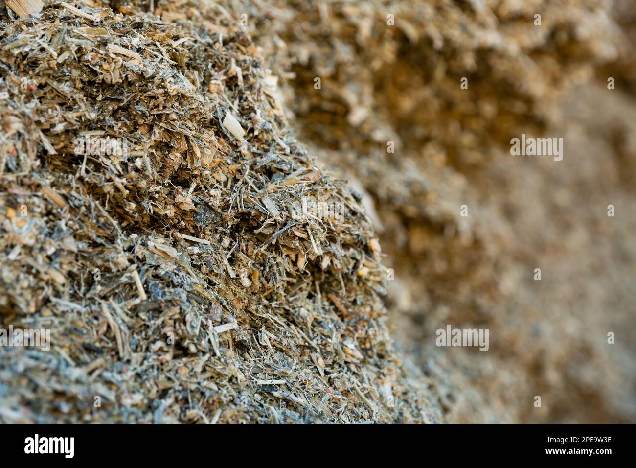 Closeup of pile of natural organic pressed maize silage Stock Photo - Alamy