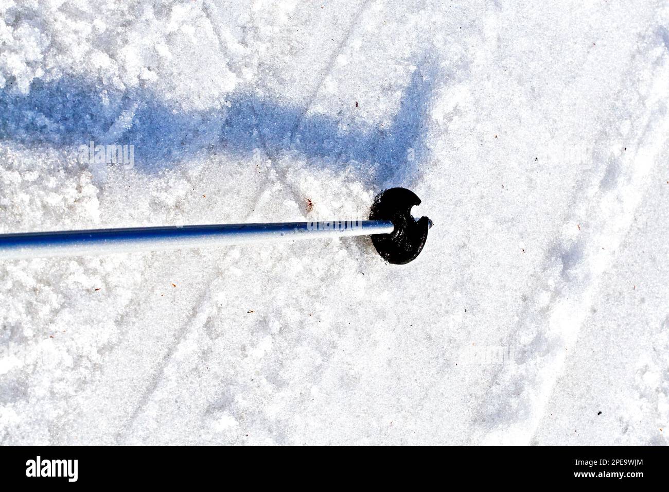 Ski stick in the snow Stock Photo - Alamy