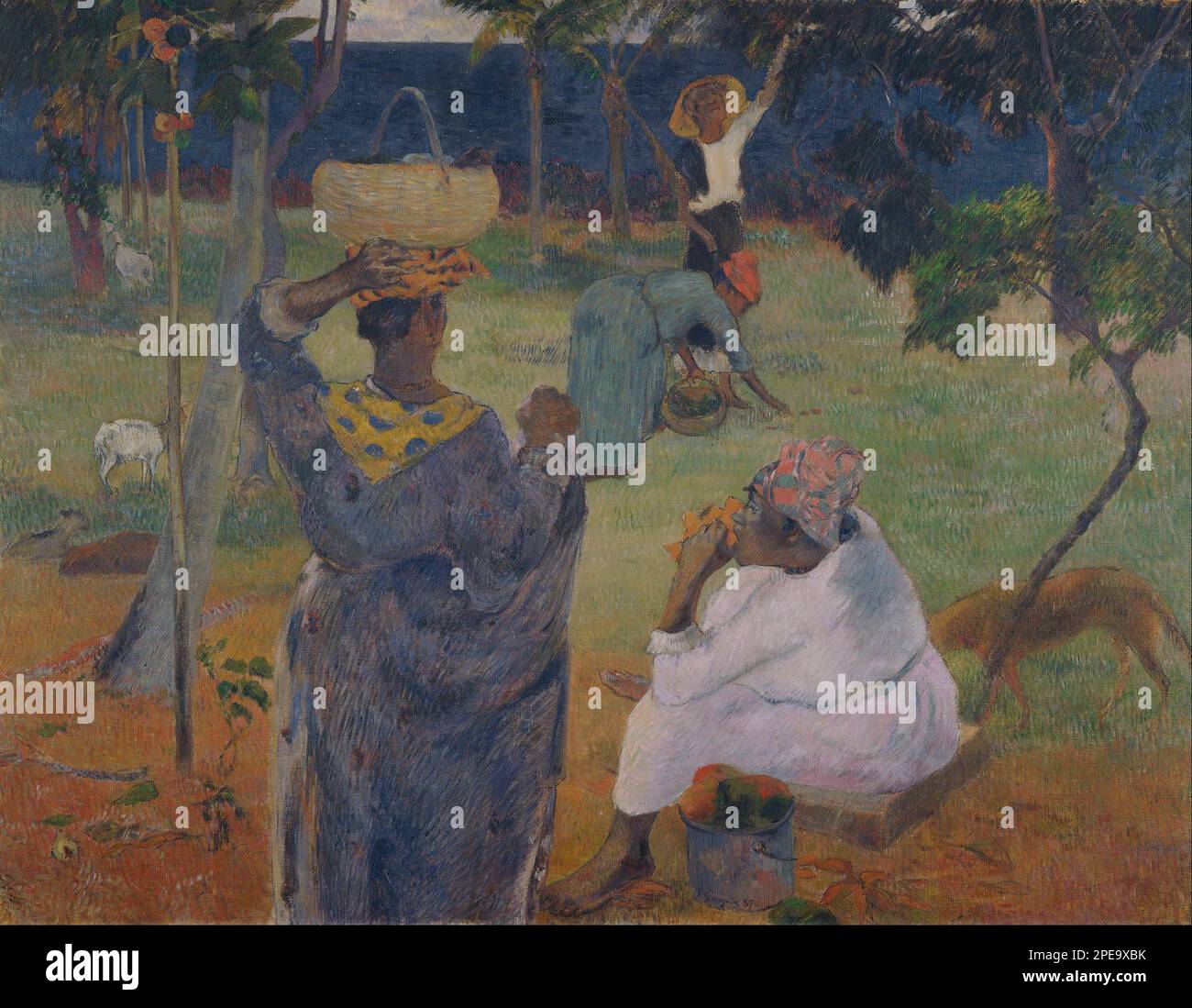 The Mango Trees, Martinique 1887 by Paul Gauguin Stock Photo - Alamy