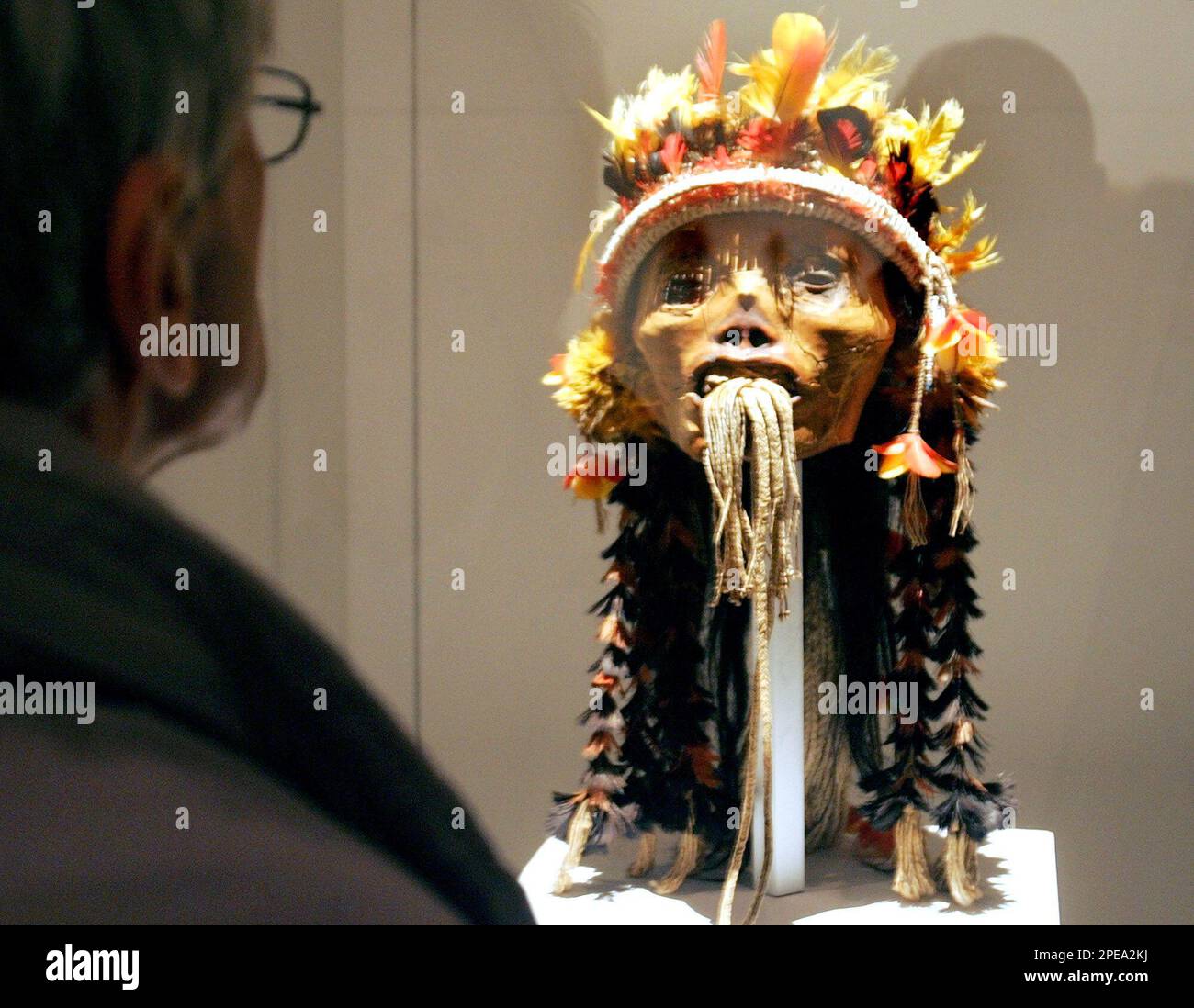 A visitor looks at a Munduruku momified head from the Brazilian state ...