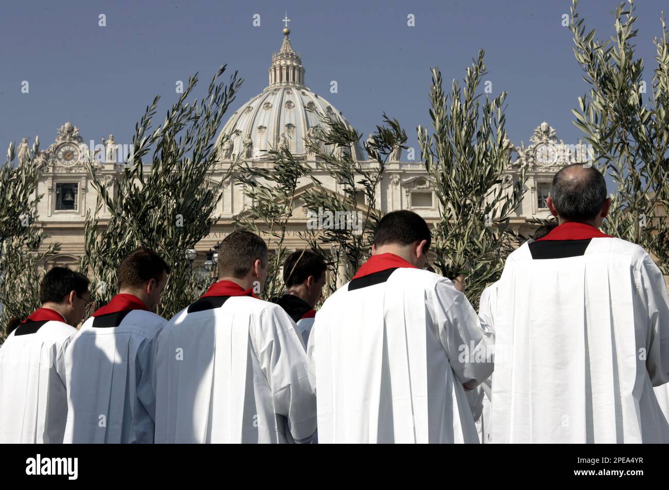 Priests hoist olive branches in St. Peter's Square at the Vatican ...