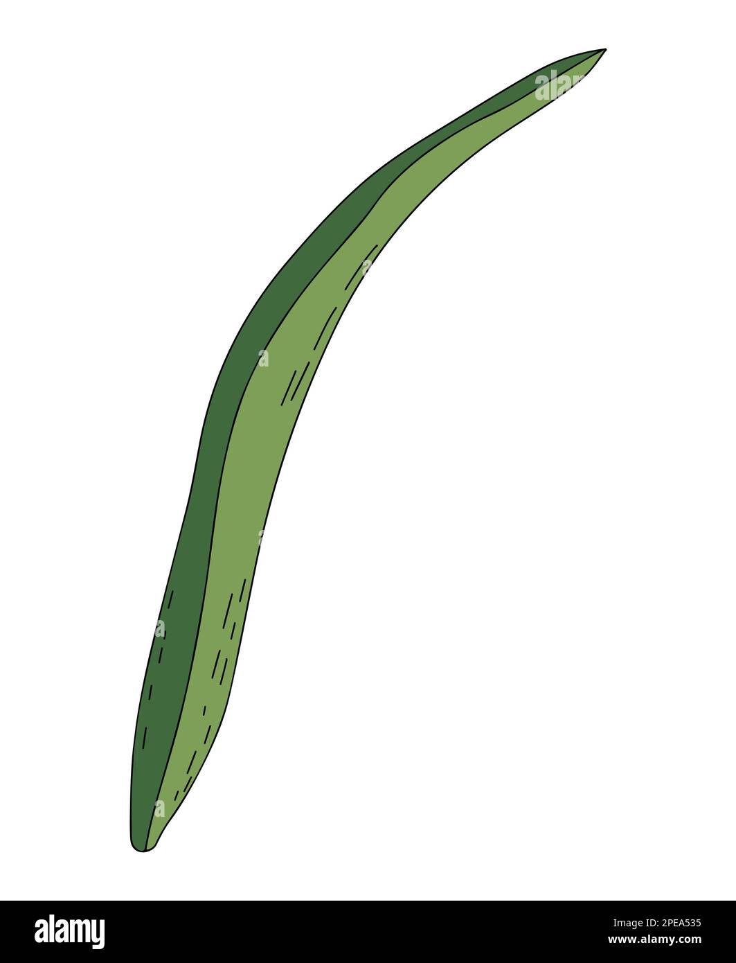 Green wild plants long Stock Vector Images - Alamy