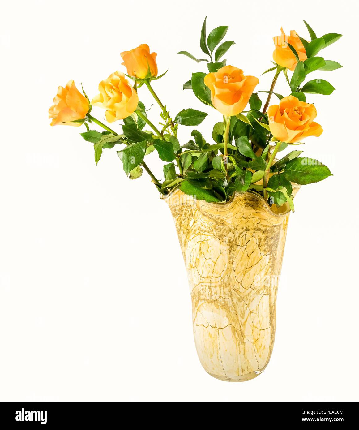 Yellow roses in vase on white background Stock Photo - Alamy