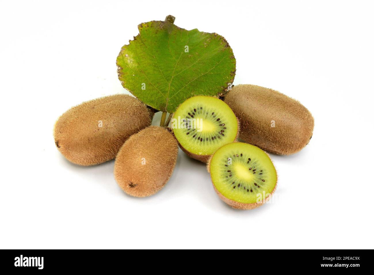 Delicious ripe kiwi fruits, isolated on white background Stock Photo ...