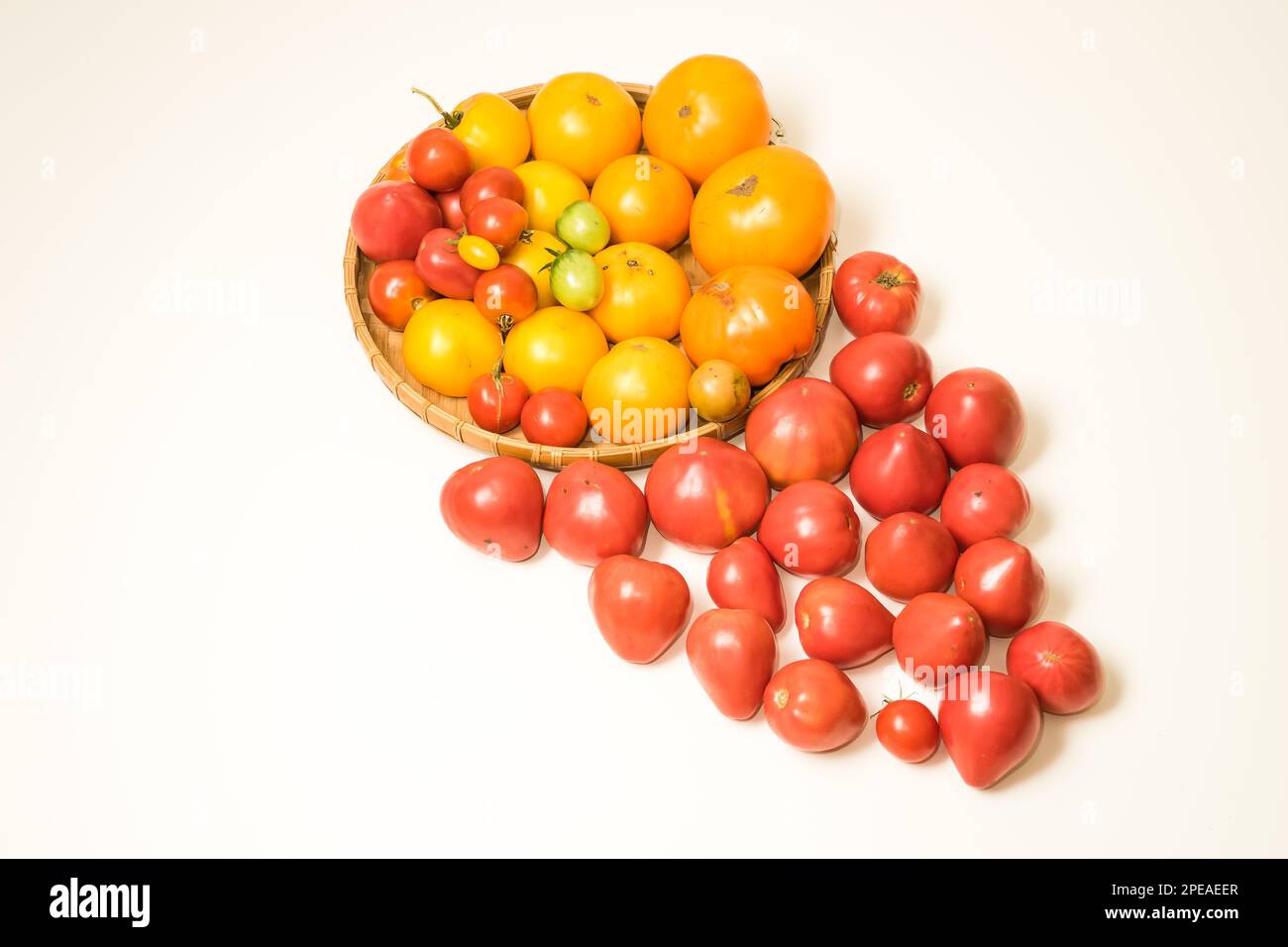 Home grown harvested tomato in red and orange colors Stock Photo - Alamy