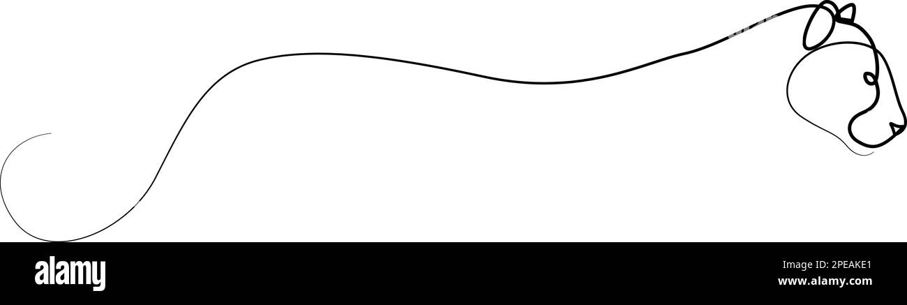 Puma or lioness abstract continuous line drawing. Wildlife vector ...