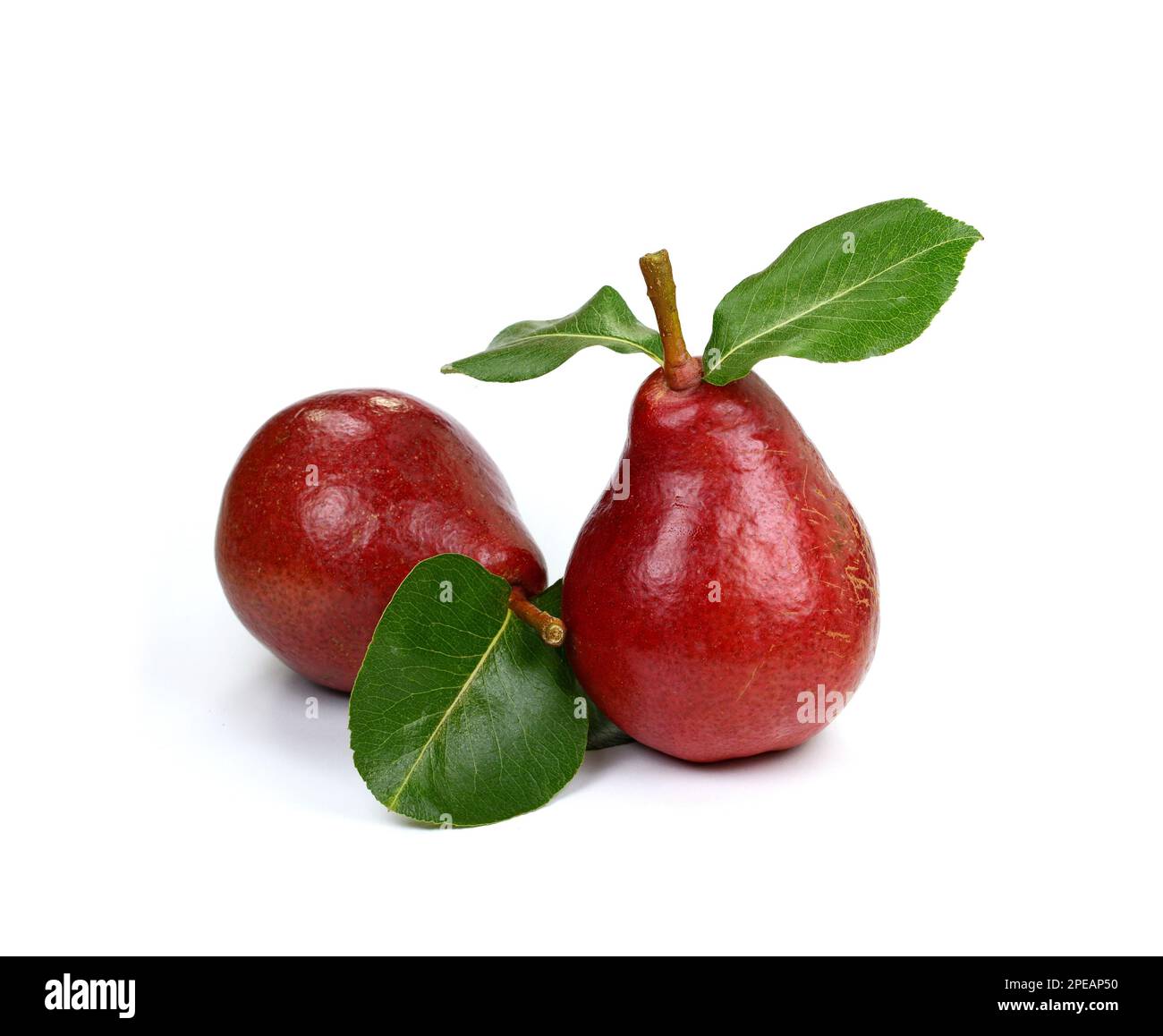 Isolated pears. Red pear fruits isolated on white background Stock ...