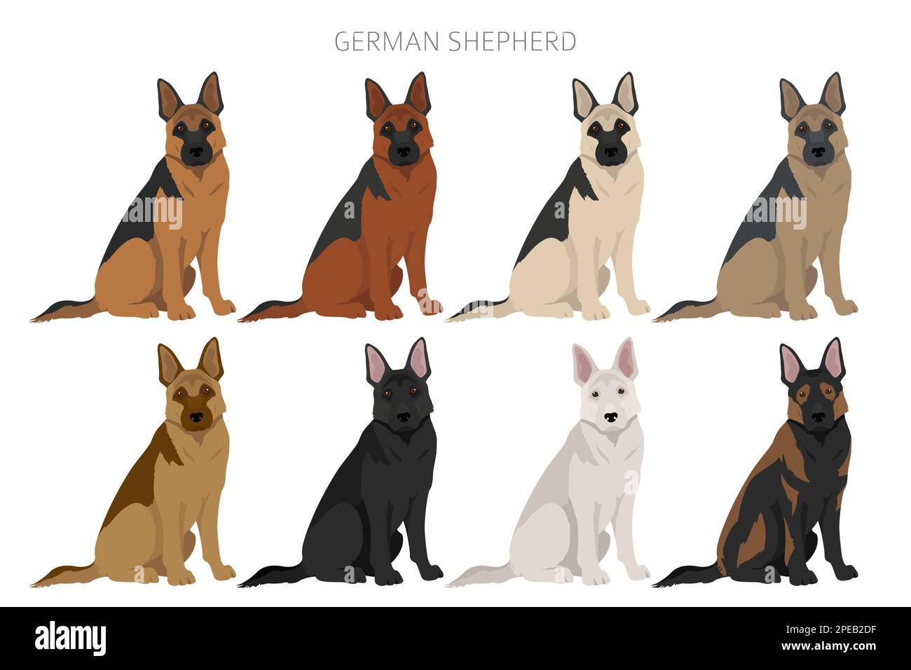 German shepherd dog in different poses and coat colors clipart. Vector ...