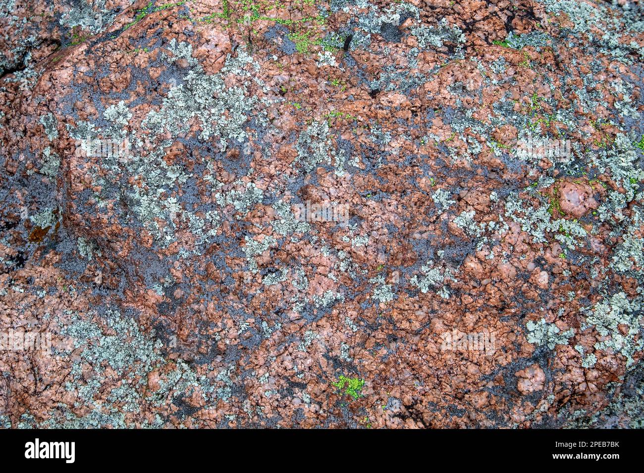 Crustose lichen on rhyolite hi-res stock photography and images - Alamy