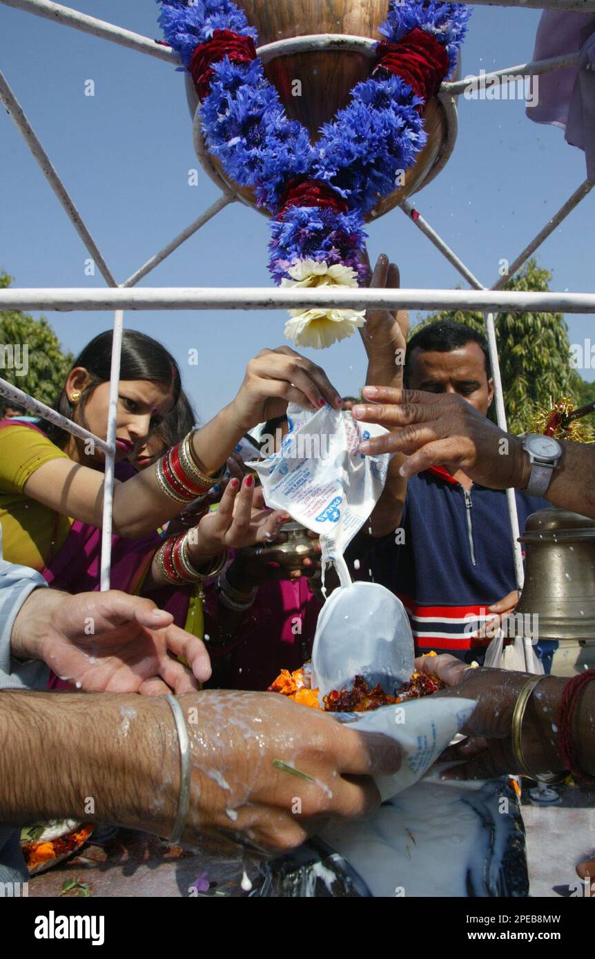 Devotees pour milk from plastic pouches onto a 'Shivling', an idol ...