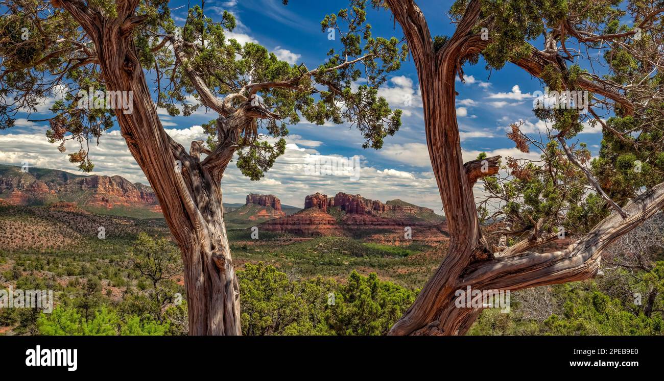 Sedona landscape red rock hi-res stock photography and images - Alamy