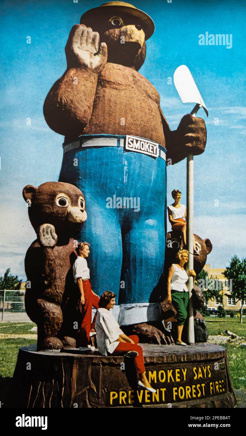 Forest fire prevention materials hi-res stock photography and images ...