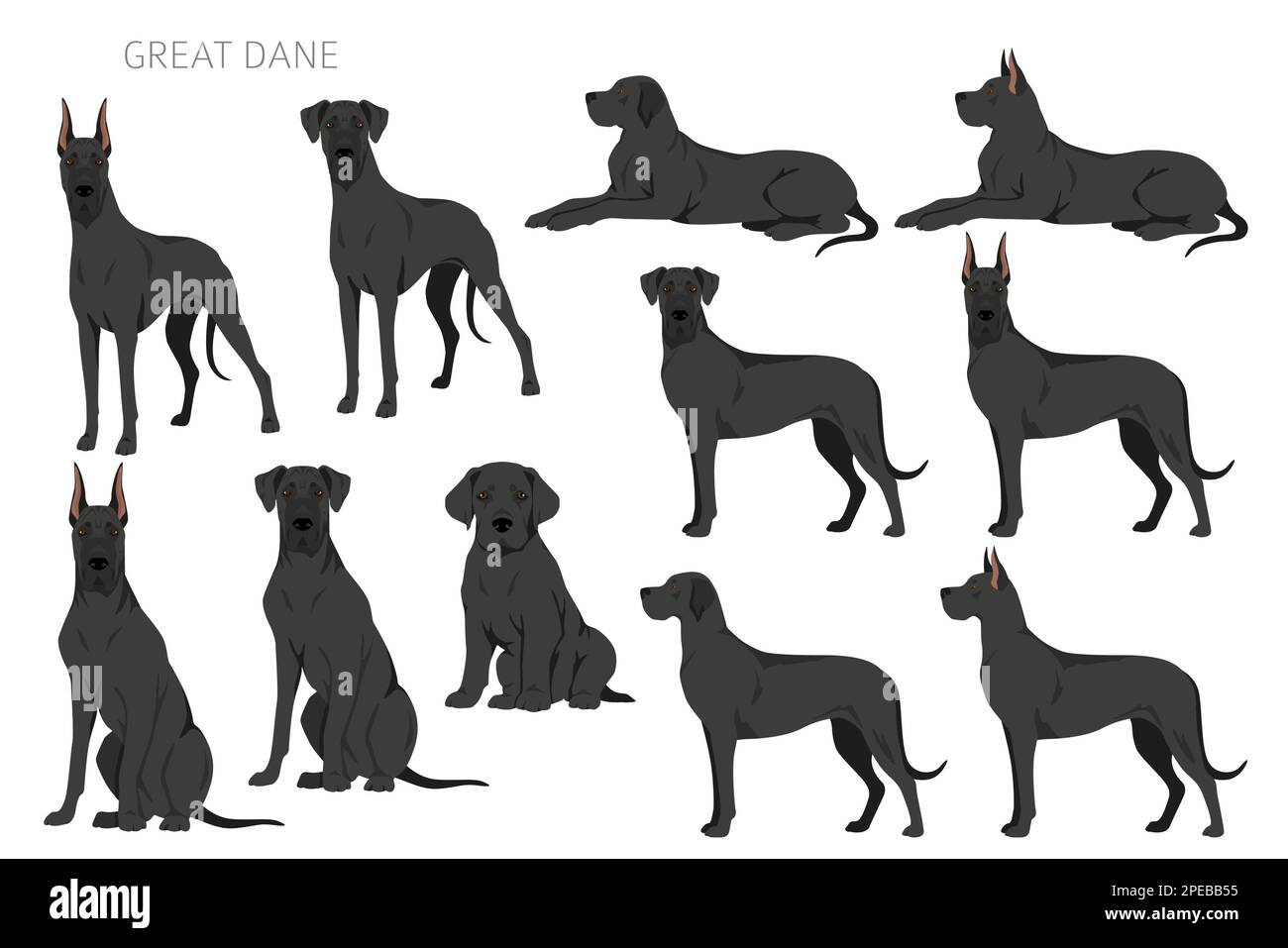 Great Dane clipart. Different poses, coat colors set. Vector ...