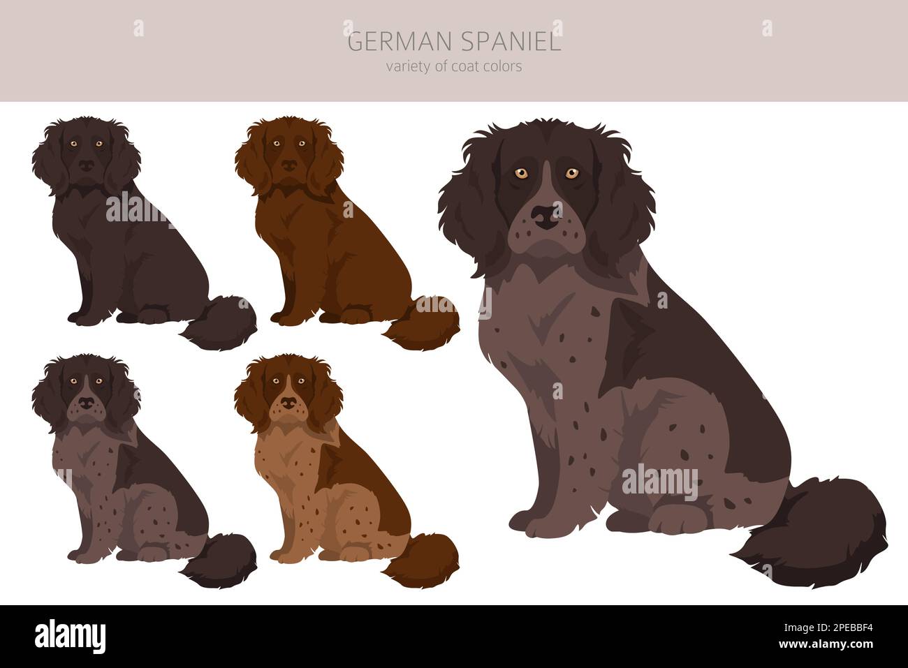 Liver illustrations Stock Vector Images - Alamy