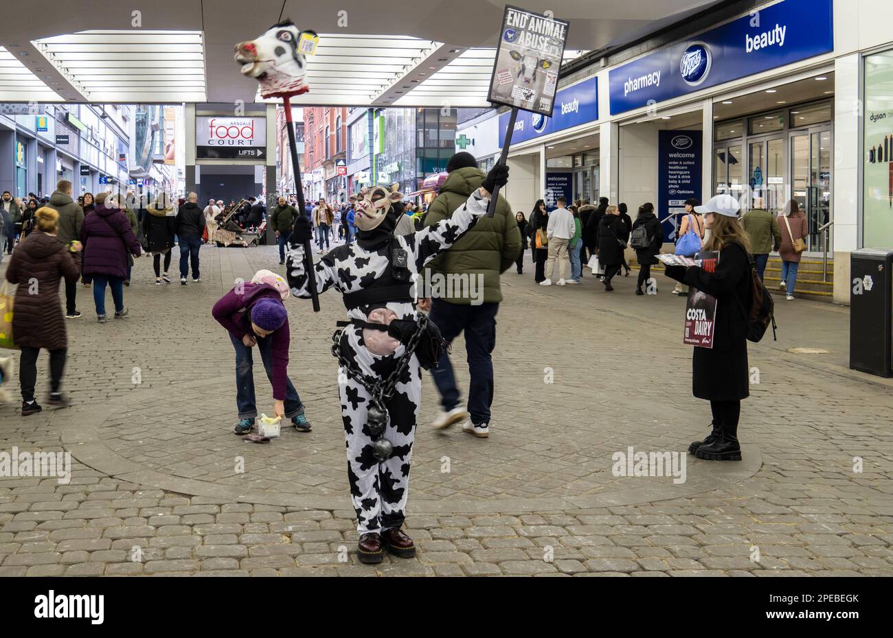 Salford, Manchester, uk, march 11, 2023 Person with cow mask protest ...