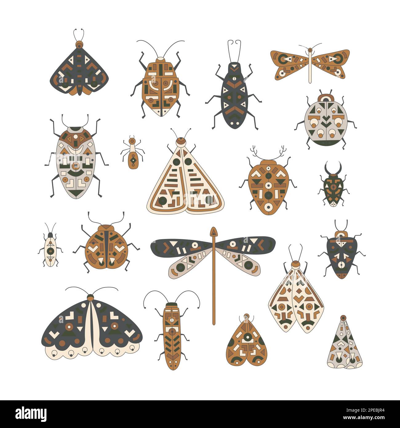 Cute folk insects set illustrations. Vector Moth, butterfly, bug, ant ...