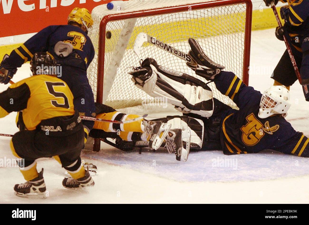 Duluth Marshall's Matt Letourneau (5) scores a game-tying goal in the ...