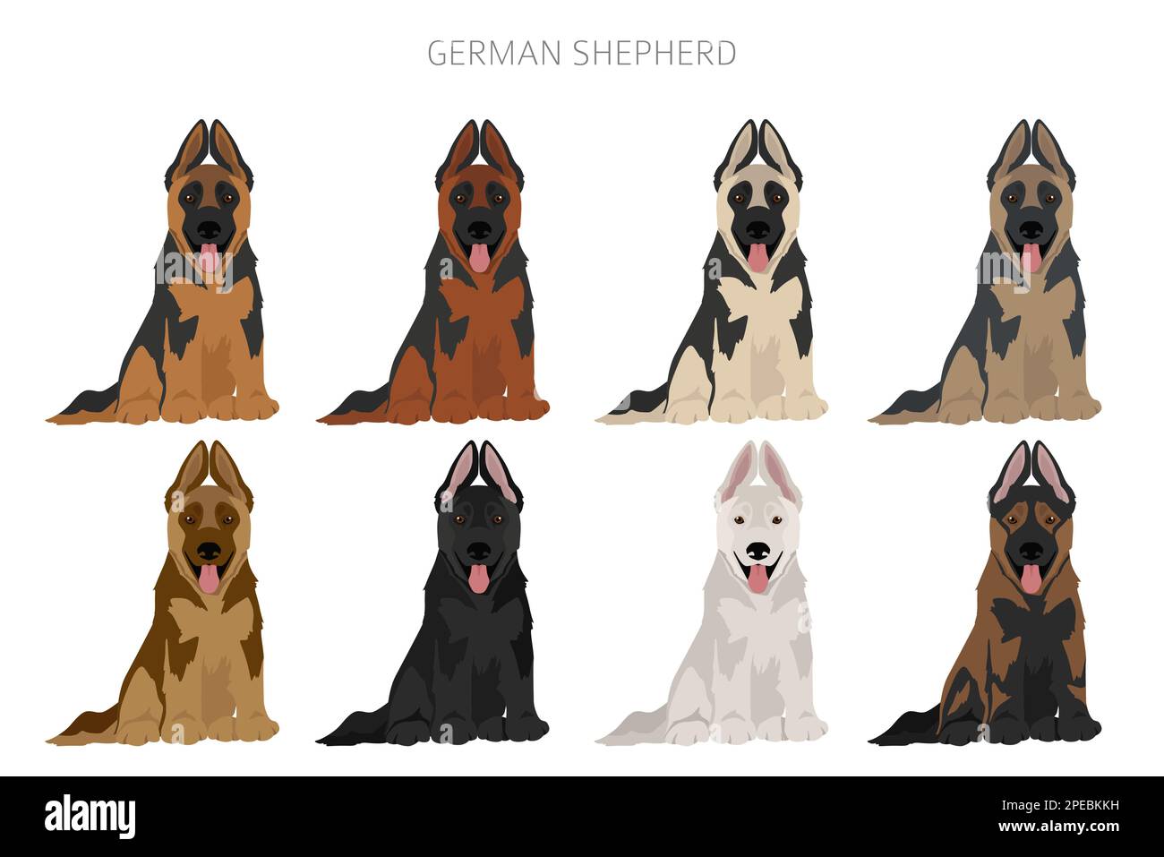 German shepherd dog in different poses and coat colors clipart. Vector ...