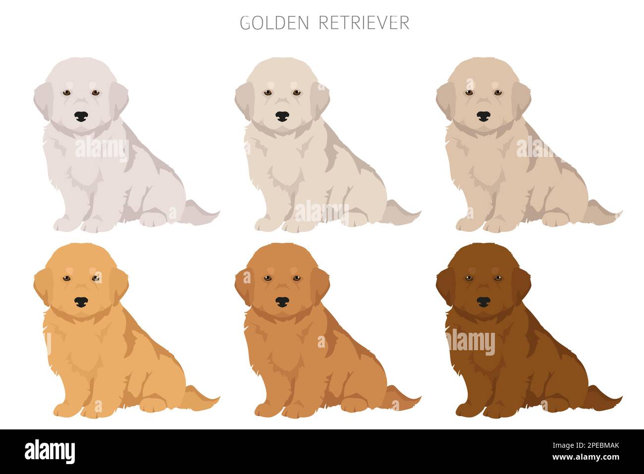 Golden retriever coat colors hi-res stock photography and images - Alamy