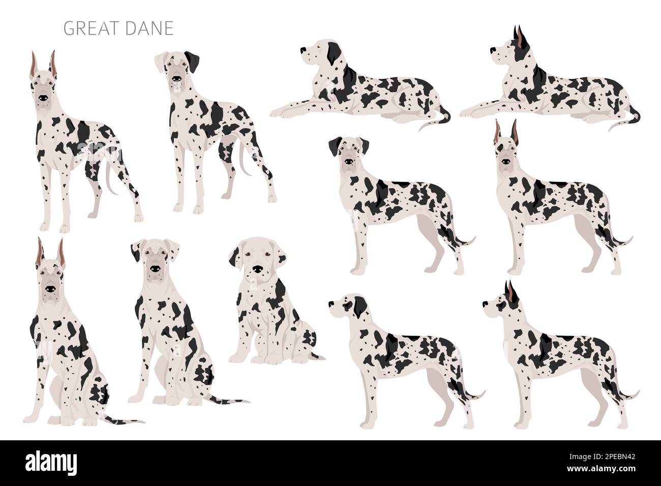 Great Dane clipart. Different poses, coat colors set. Vector ...
