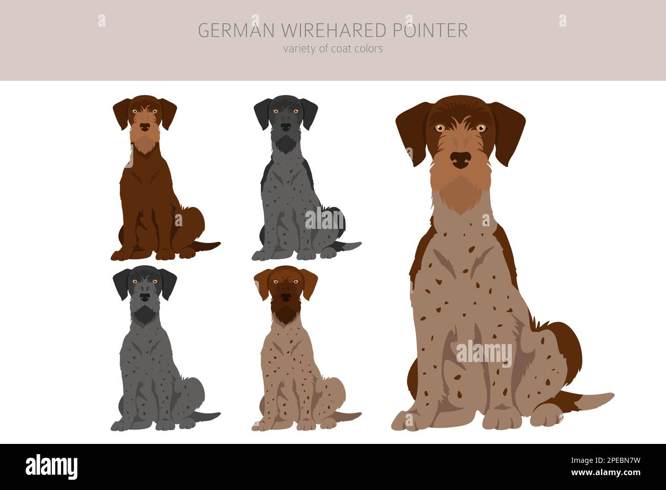 Dog Pointer Clipart