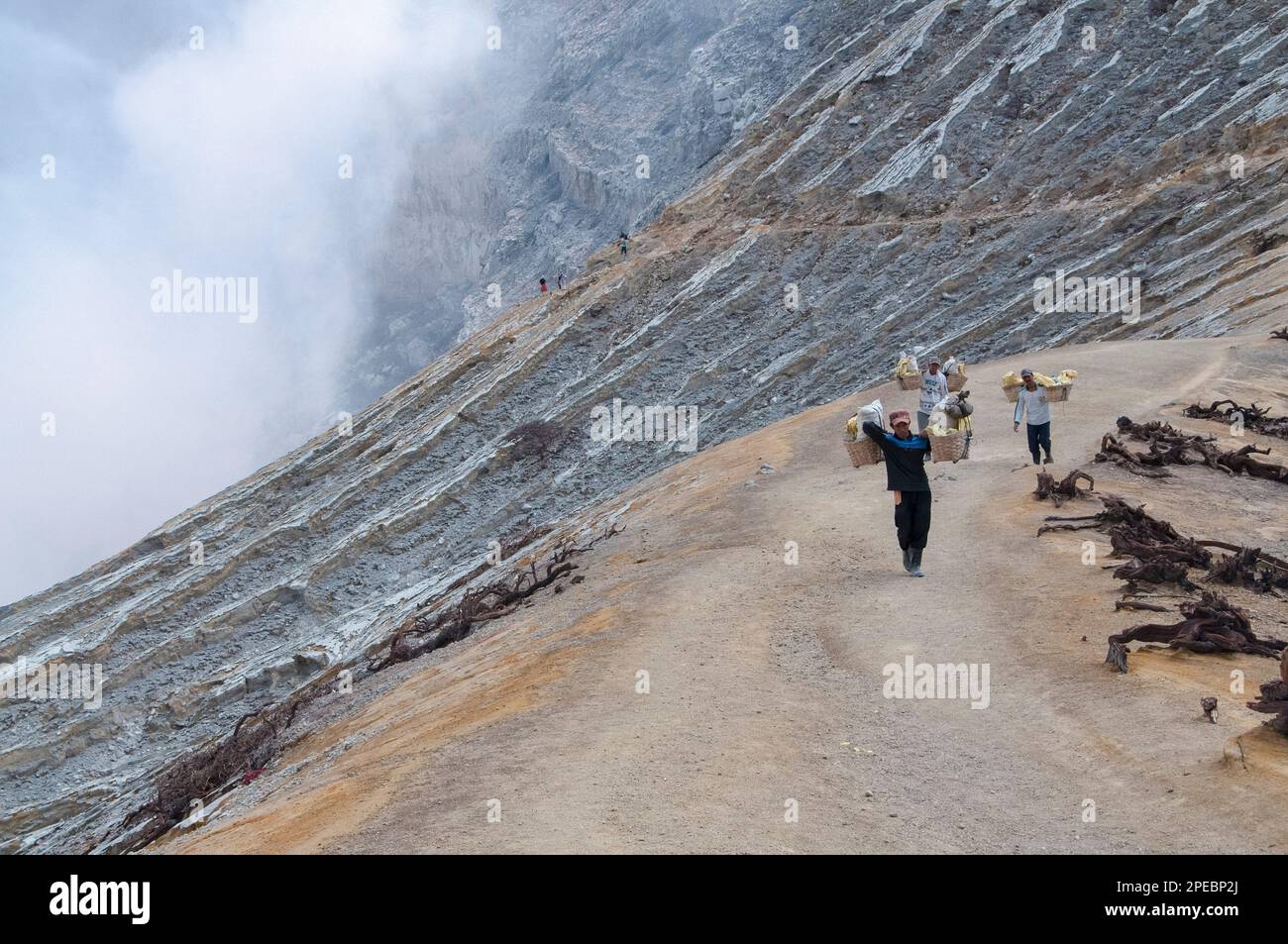 Steam baskets hi-res stock photography and images - Alamy