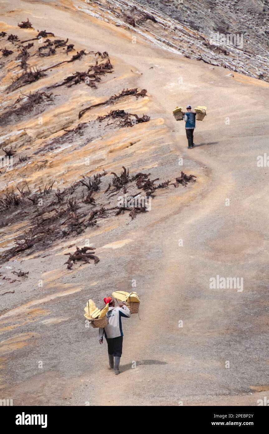 Two people carrying baskets on hi-res stock photography and images - Alamy