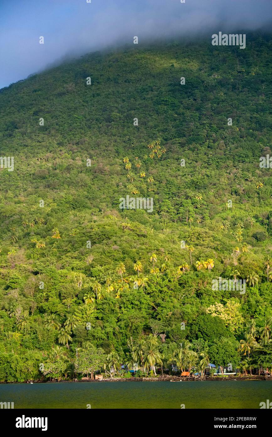 Rainforest, Gunung Banda Api Volcano, last eruption in 1988, Banda ...