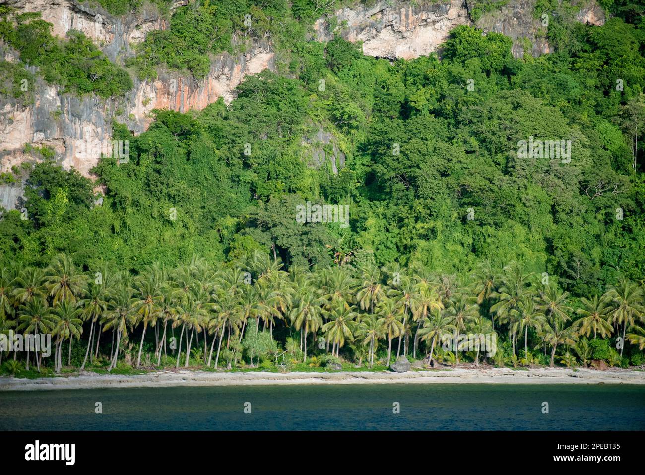 Coastline, Tanibar, Forgotten Islands, Banda Sea, Indonesia Stock Photo ...
