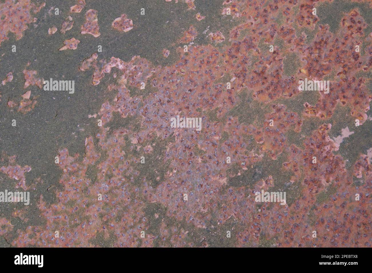 Grunge rusted metal texture, rust and oxidized metal background. Old ...