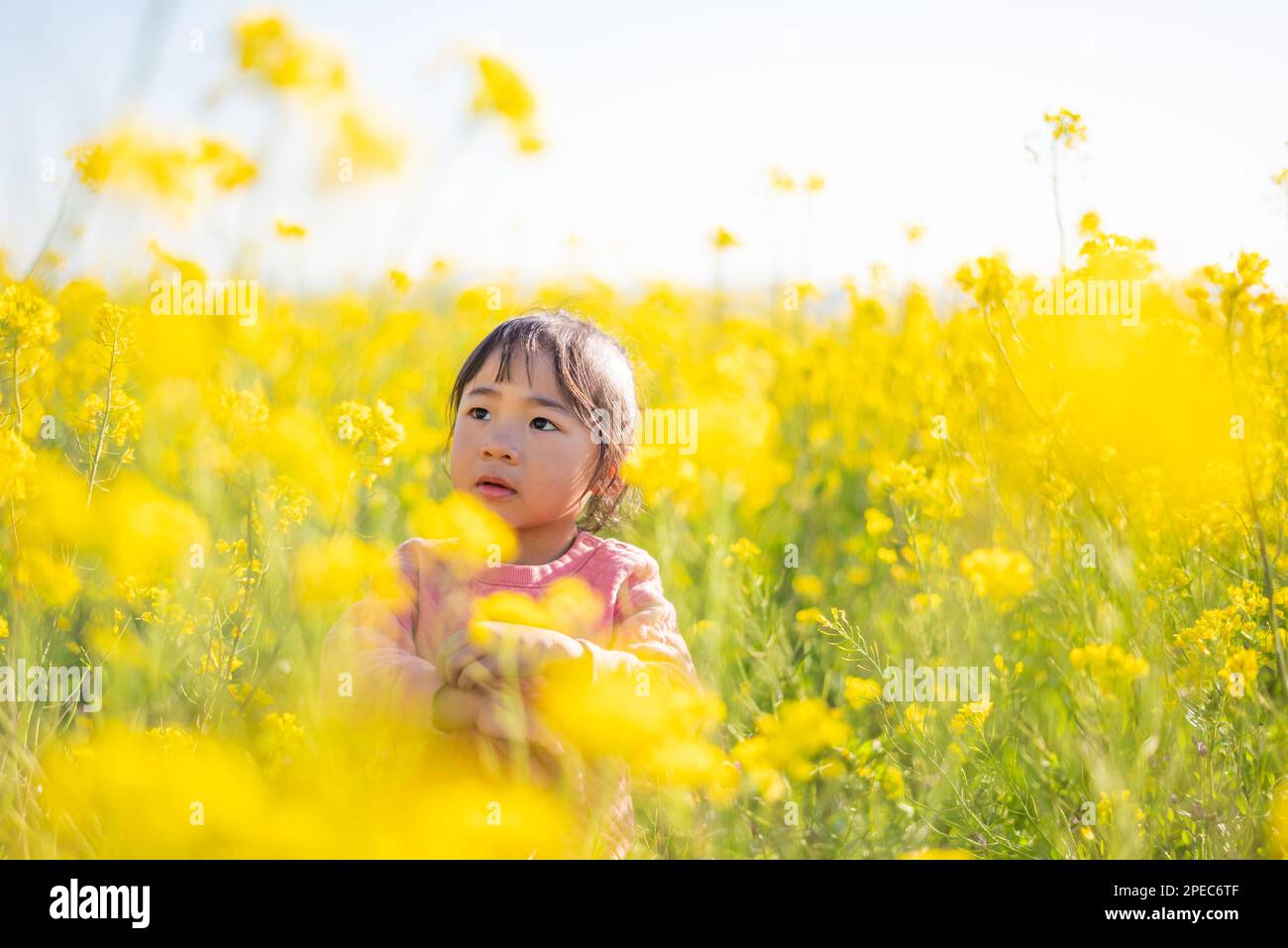 Childhood in japan hi-res stock photography and images - Alamy