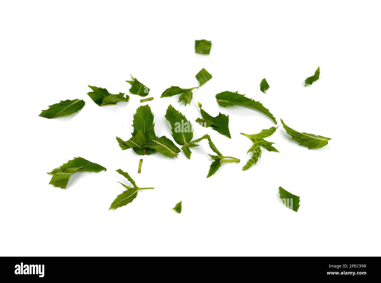 Chopped Fresh Mint Leaves on white. Spice chopped Mint. Fresh chopped ...