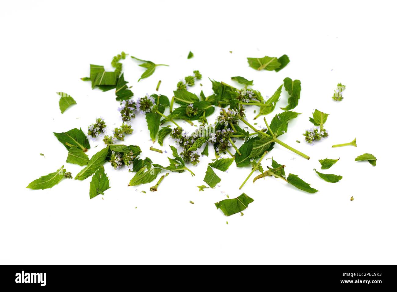 Chopped Fresh Mint Leaves on white. Spice chopped Mint. Fresh chopped ...