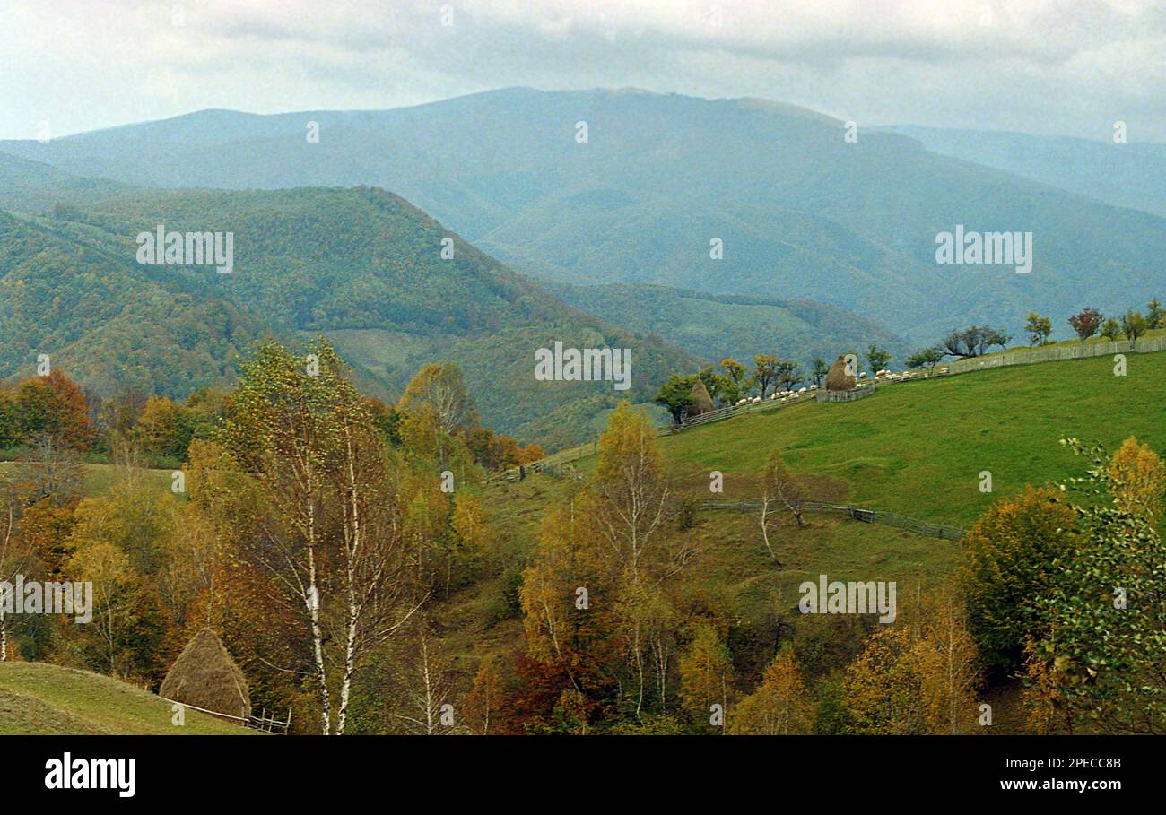 Fall landscape in alba hi-res stock photography and images - Alamy