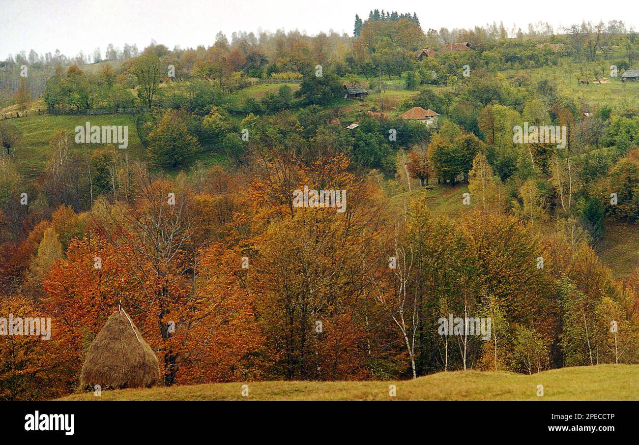 Fall landscape in alba hi-res stock photography and images - Alamy