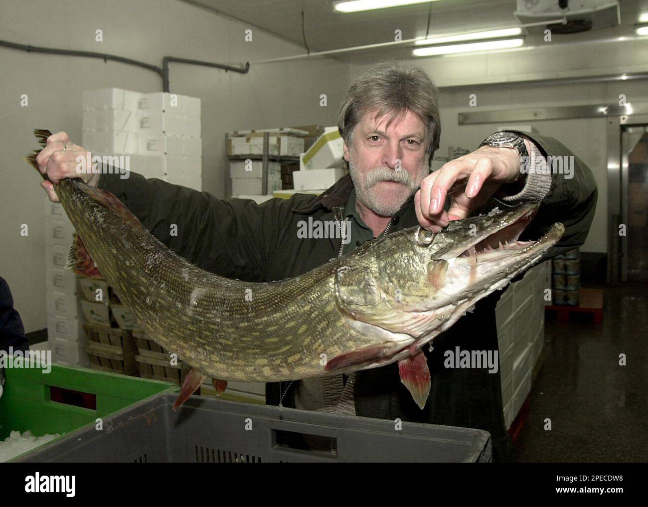 Der Geschaeftsfuehrer des Gastronomie-Zulieferbetriebes Rungis Express ...